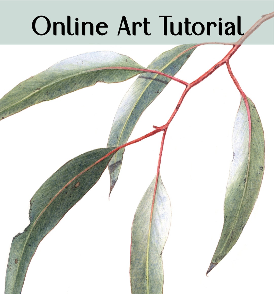 Botanical Art Tutorial Online, Watercolour Painting Course, Eucalyptus ...
