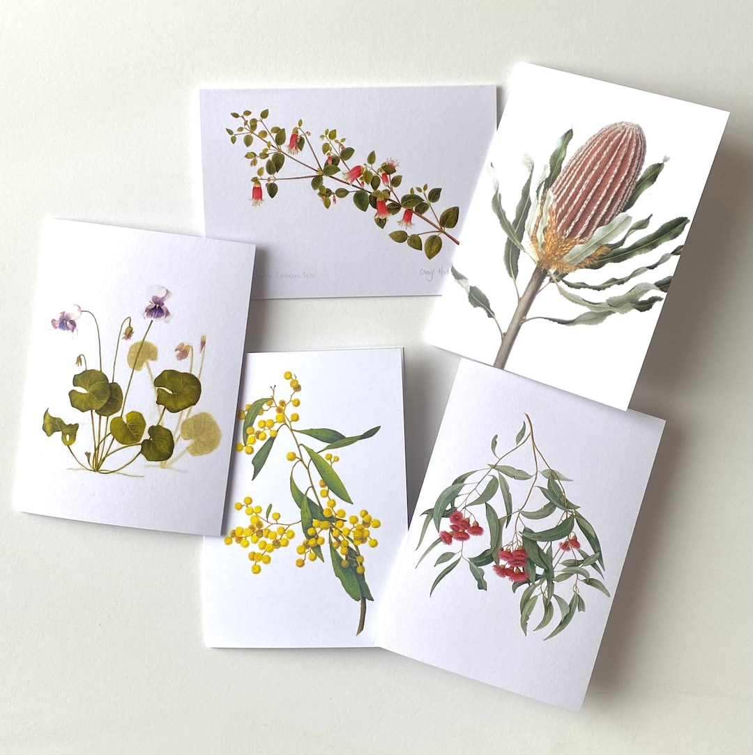 Set of 5 Cards - Australian Natives 1, Australian Native Plant Drawings ...