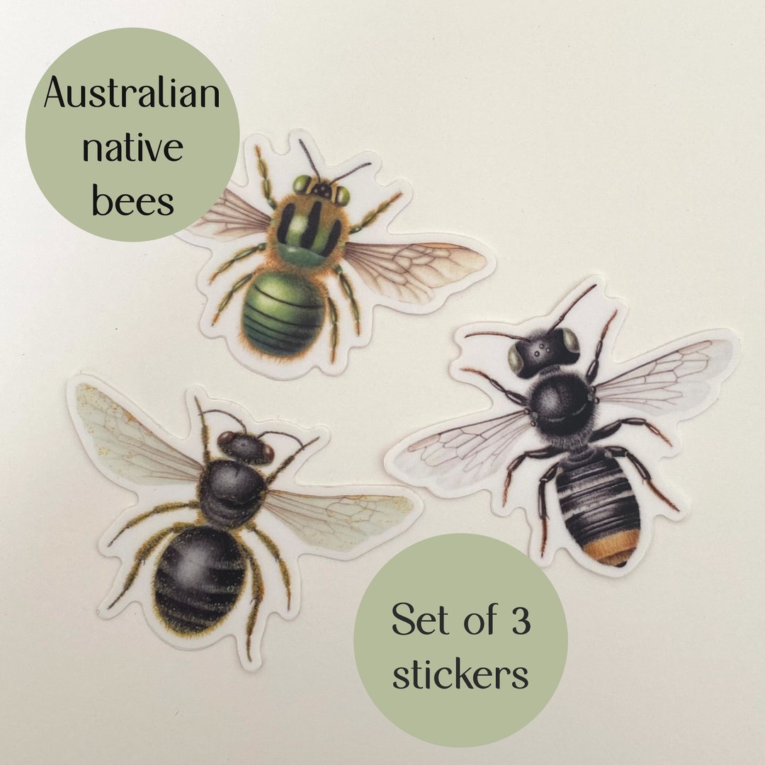 Australian Native Bee Laptop Stickers Set of 3, Green Carpenter Bee ...