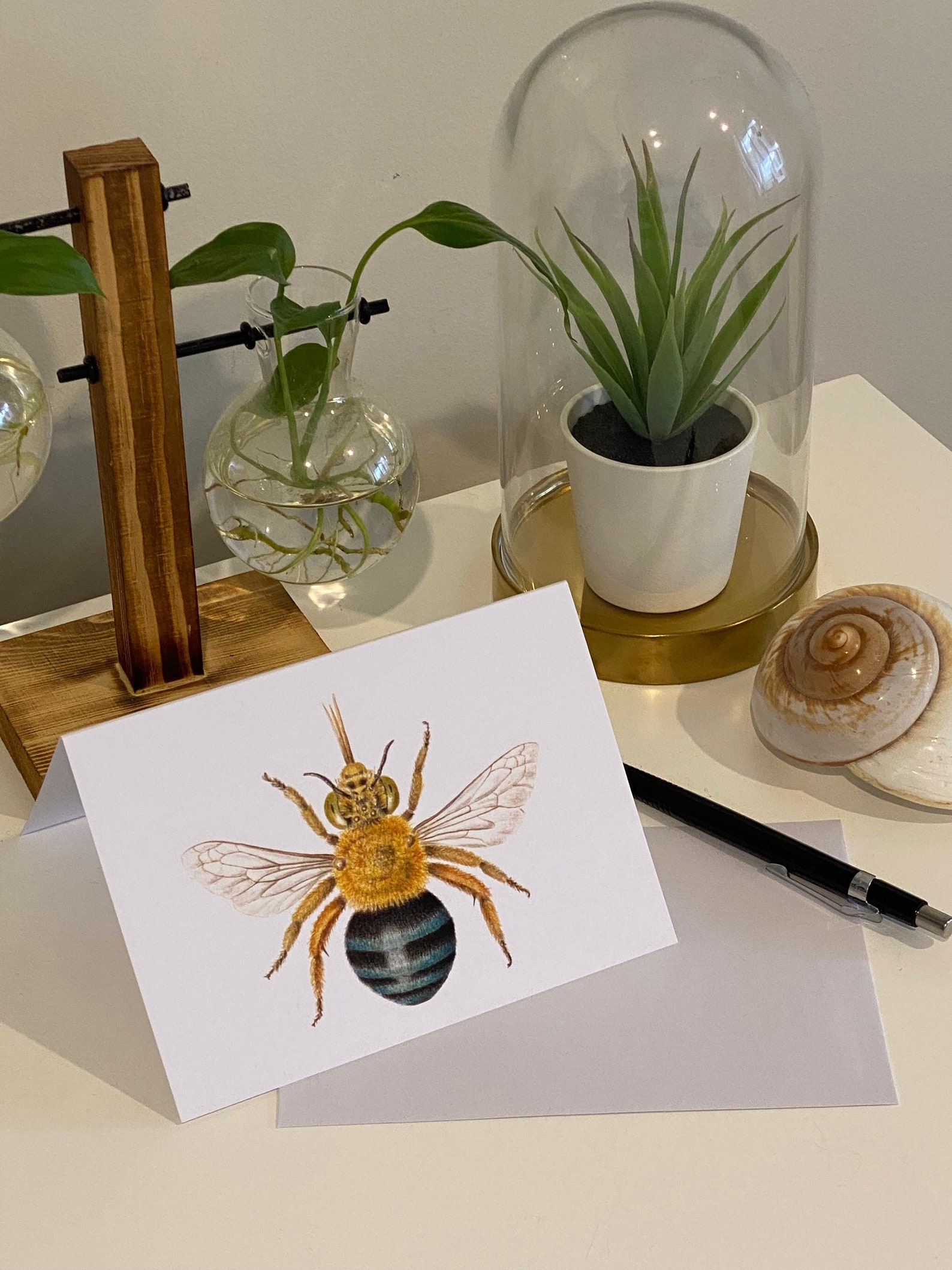 Blue Banded Bee - Australian Greeting Card, Australian Native Insect ...