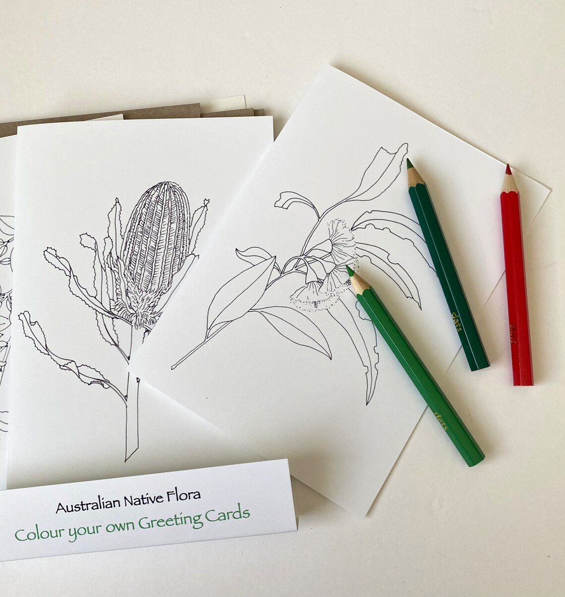 Set 4 Colouring Cards Australian Native Plants, Banksia, Eucalyptus ...
