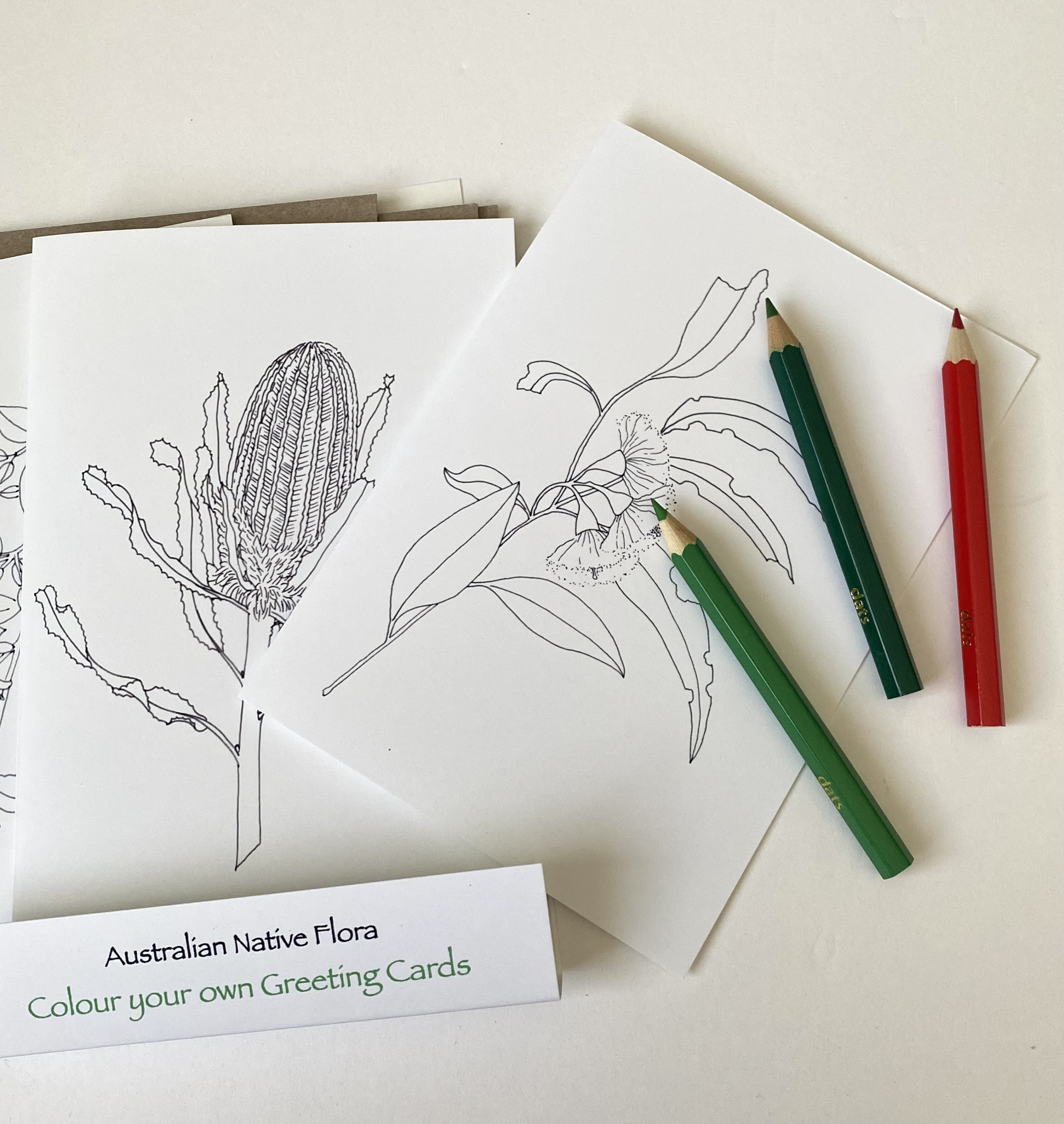 Set 4 Colouring Cards - Australian Native Plants, Banksia, Eucalyptus ...
