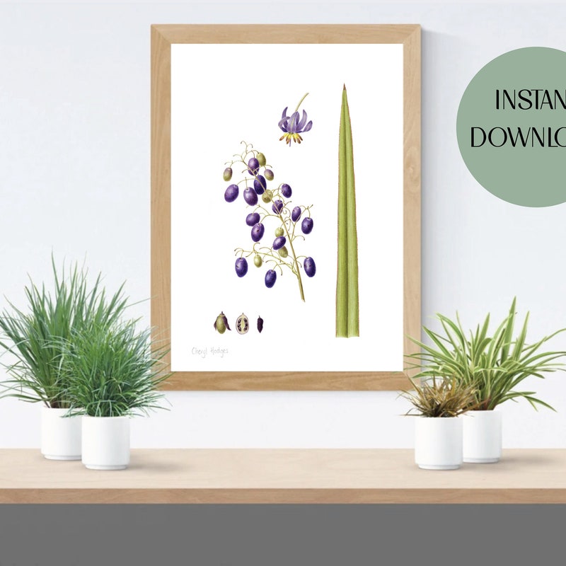 Dianella - Etsy