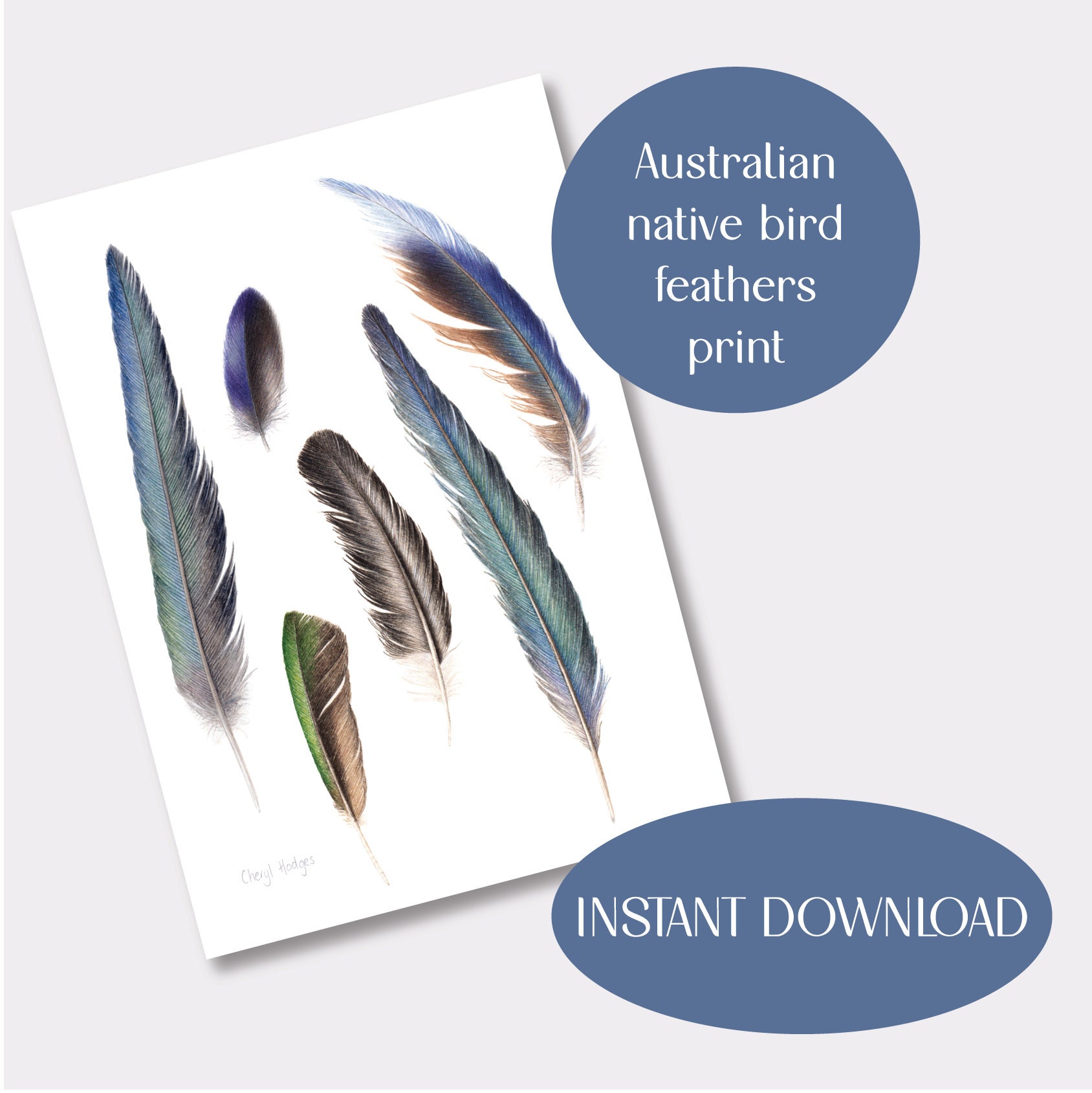 Australian Bird Feathers Printable Wall Art, Australian Feathers A4 or ...