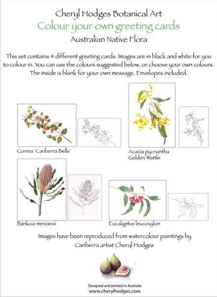 Set 4 Colouring Cards - Australian Native Plants, Banksia, Eucalyptus ...