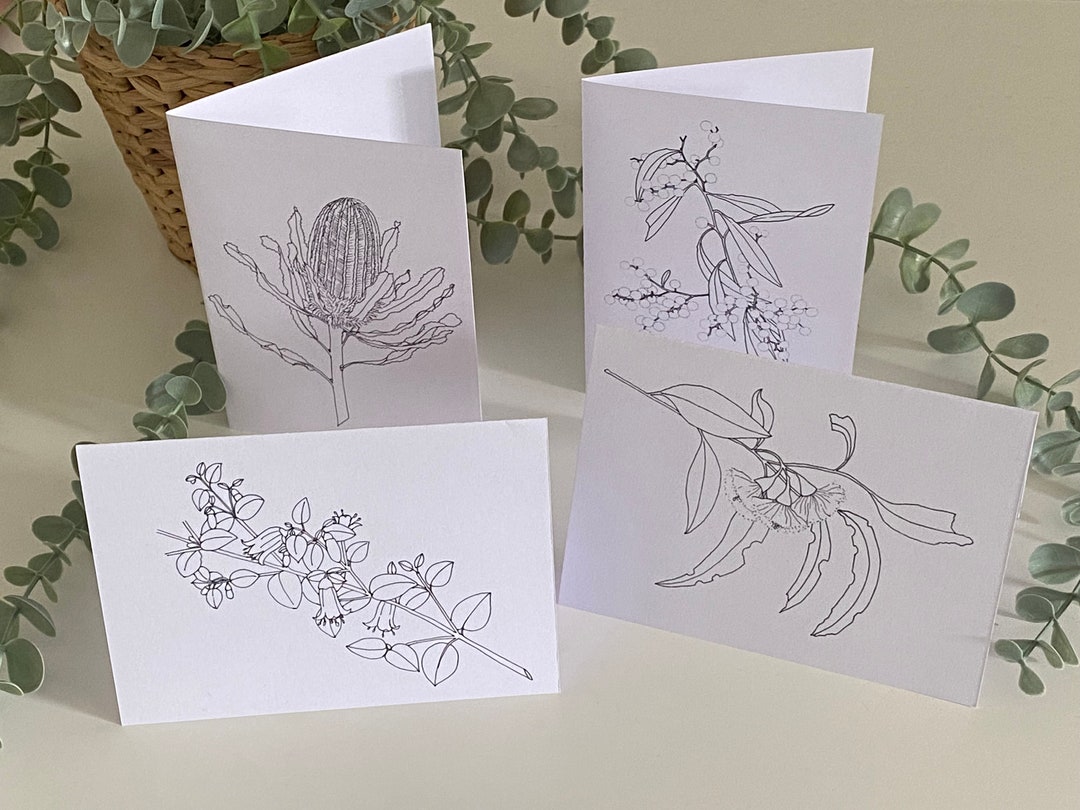 Set 4 Colouring Cards - Australian Native Plants, Banksia, Eucalyptus ...