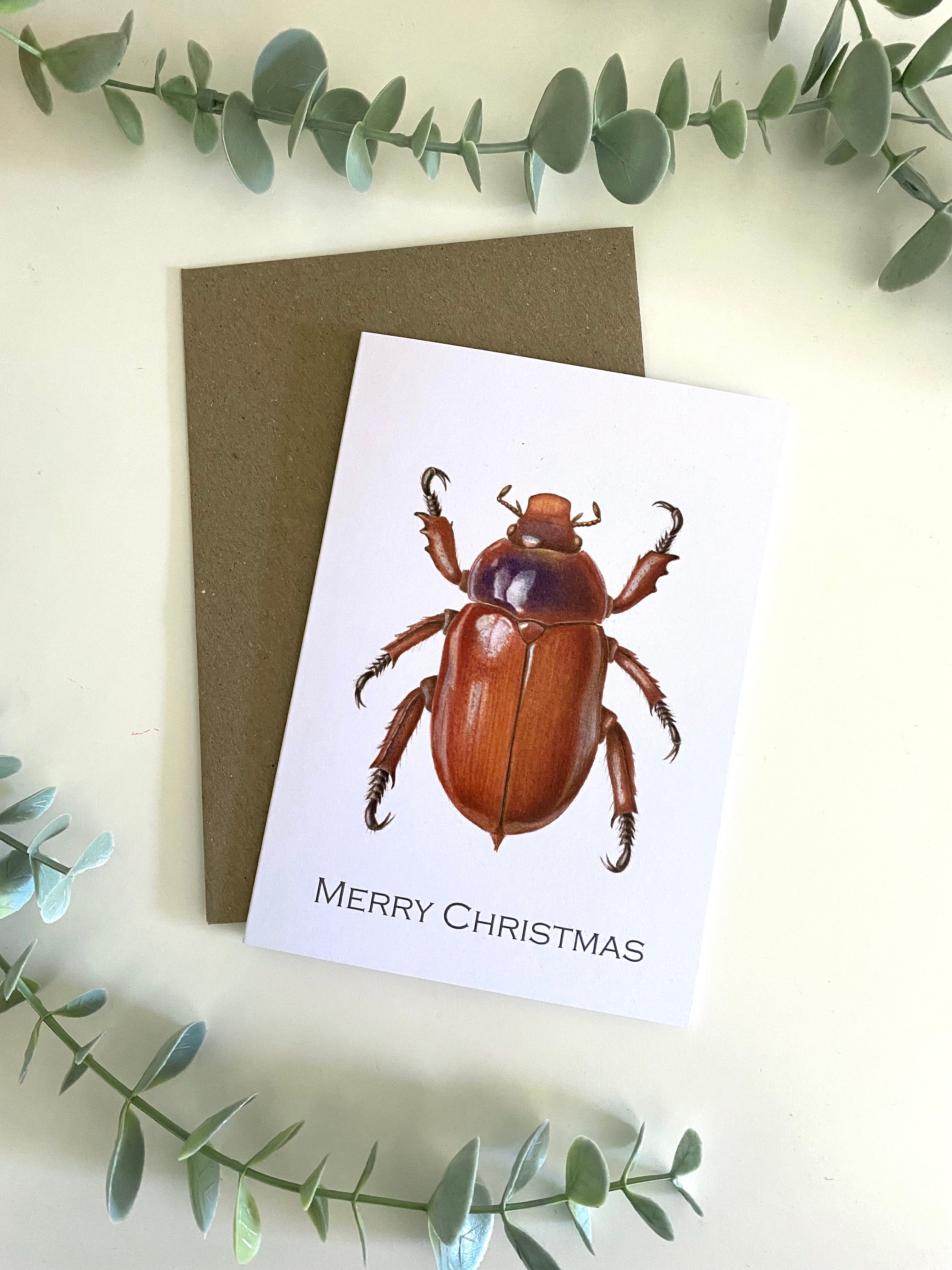 Australian Insect Christmas Cards - Watercolor, Set of 5 - Etsy
