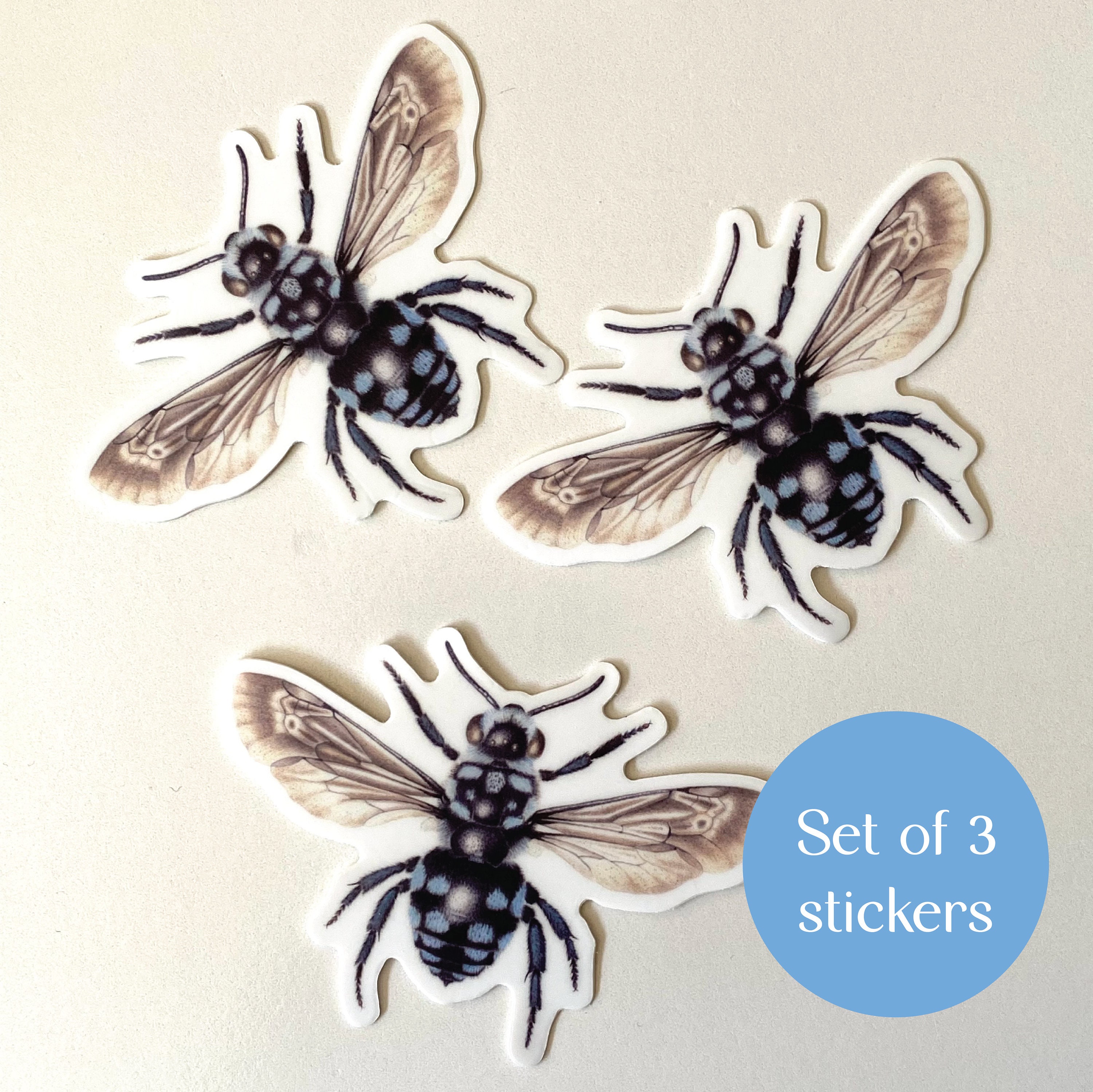 Chequered Cuckoo Bee Stickers Set of 3 Laptop Sticker - Etsy