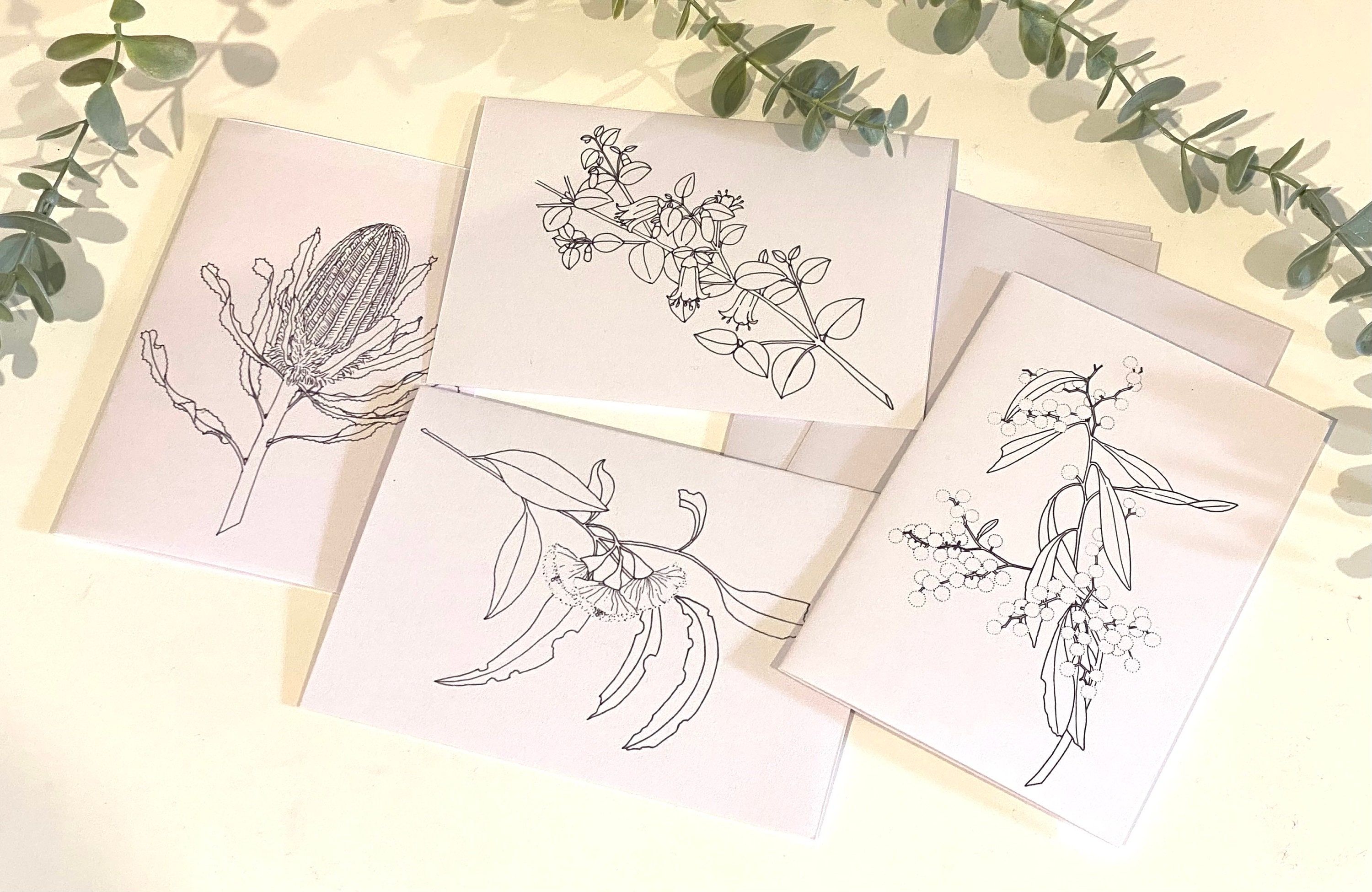 Set 4 Colouring Cards - Australian Native Plants, Banksia, Eucalyptus ...