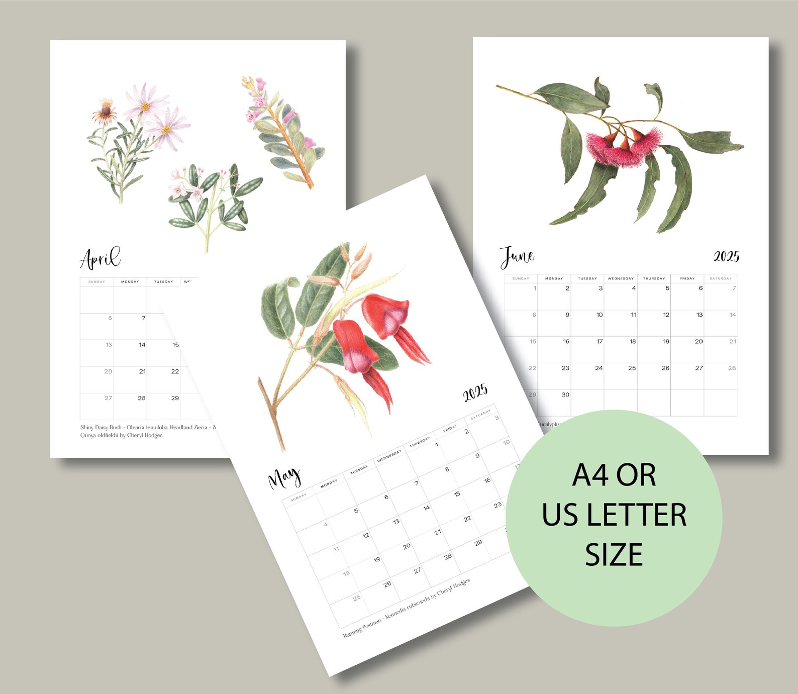 2025 Calendar, Australian Native Plants, Watercolor Botanical Art ...