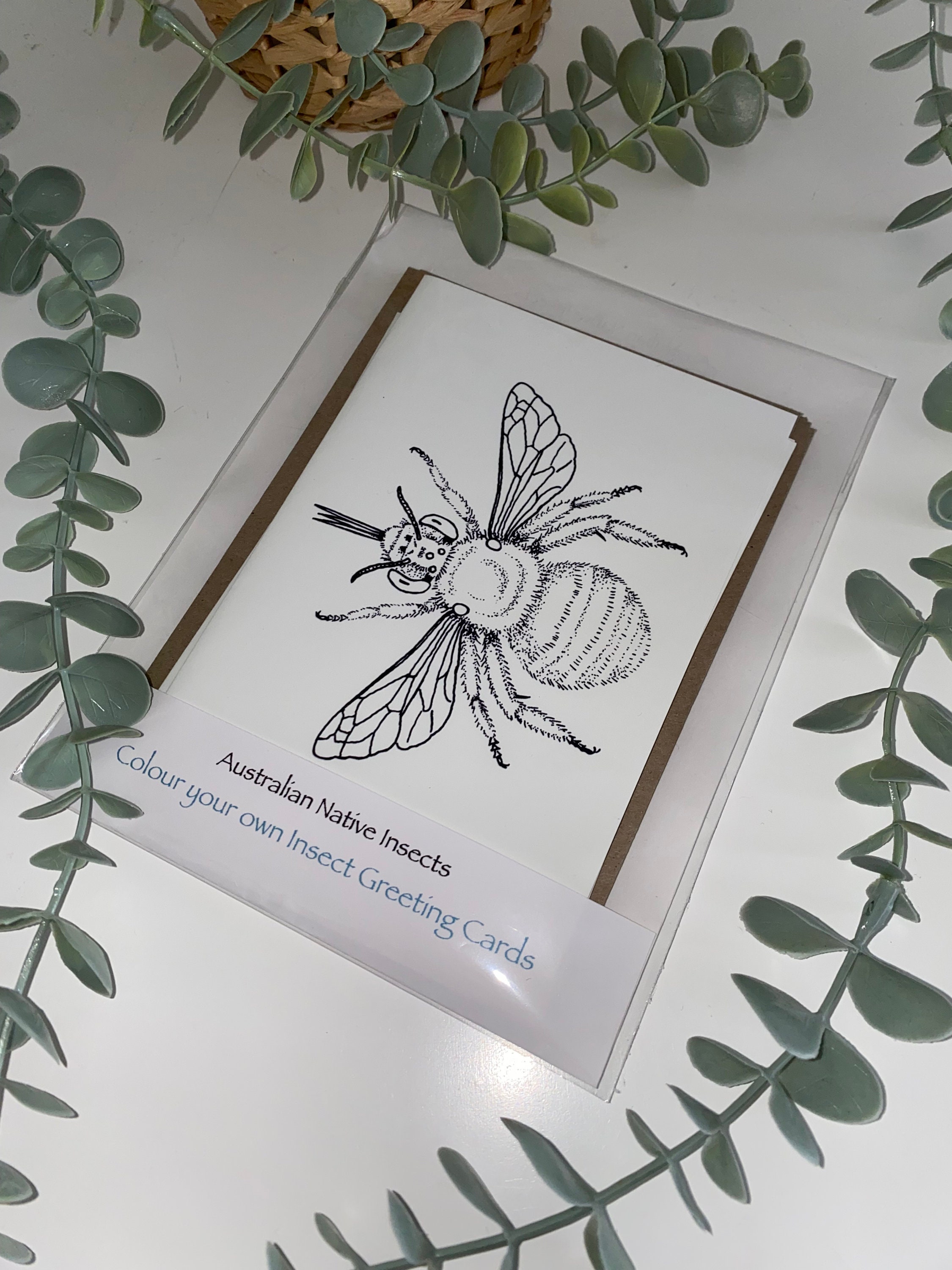 Australian Native Insect Coloring Cards – Set of 4 - Etsy