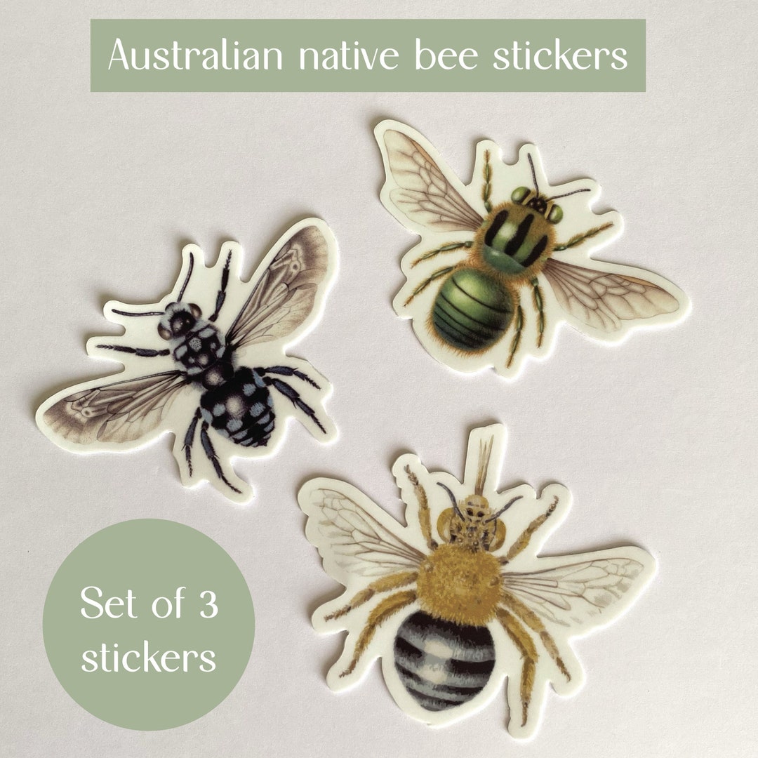 Australian Native Bee Stickers Set of 3, Chequered Cuckoo Bee, Blue ...