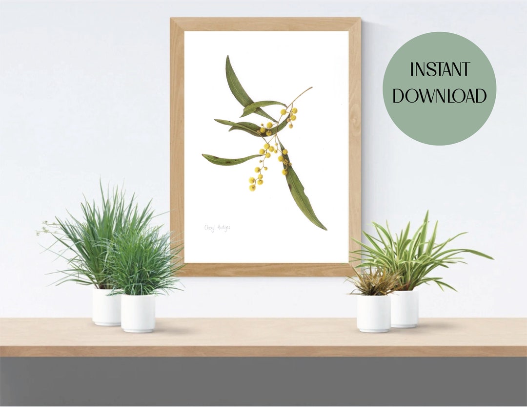 Wattle Printable Wall Art, Wattle Botanical Watercolour Print ...