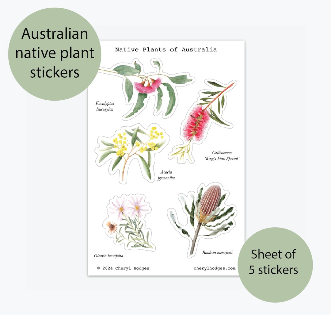 Australian Native Plants Sticker Sheet, Planner Stickers, Vinyl Laptop ...