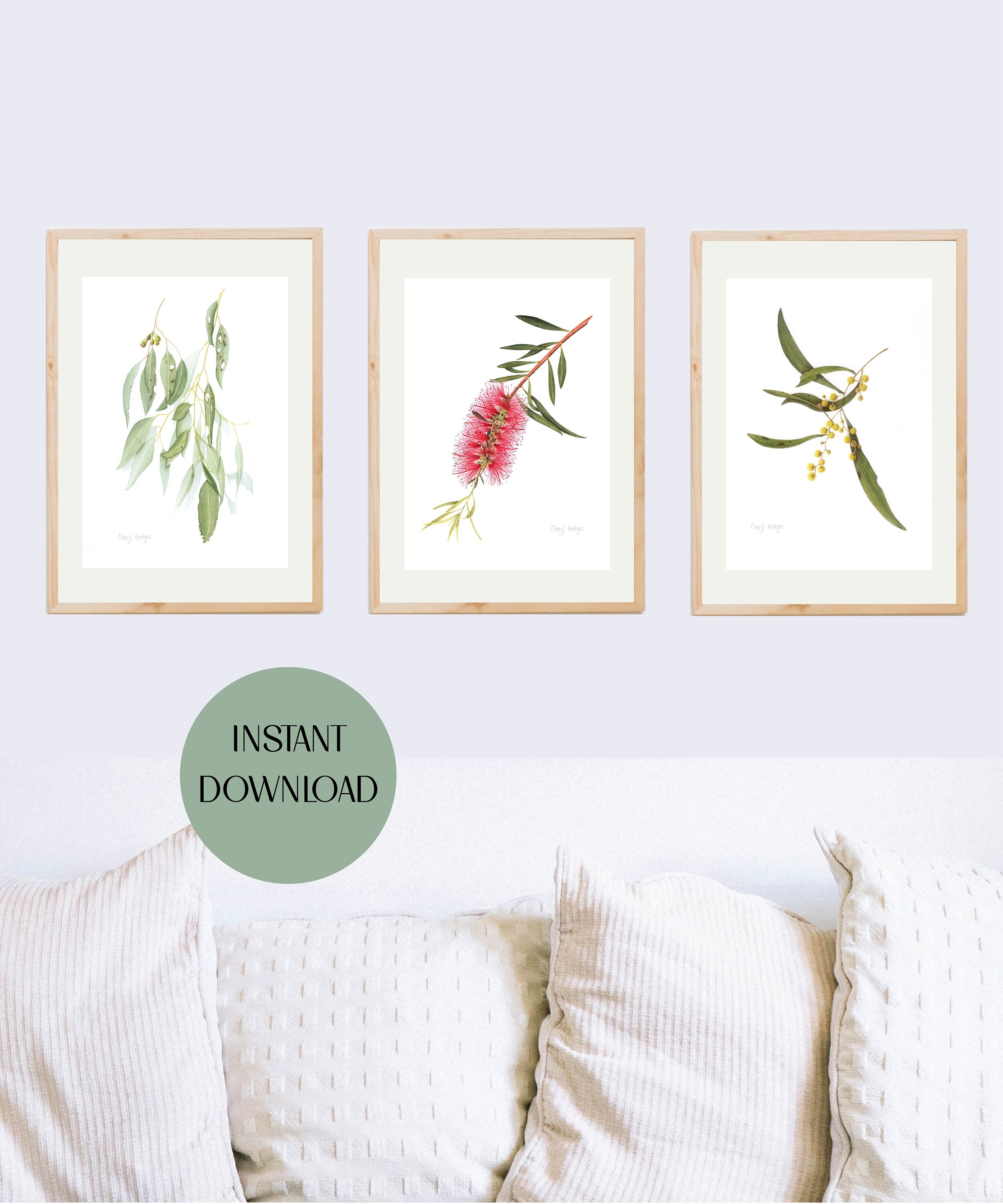 Australian Native Flower Watercolor Prints, Eucalyptus, Wattle (digital ...