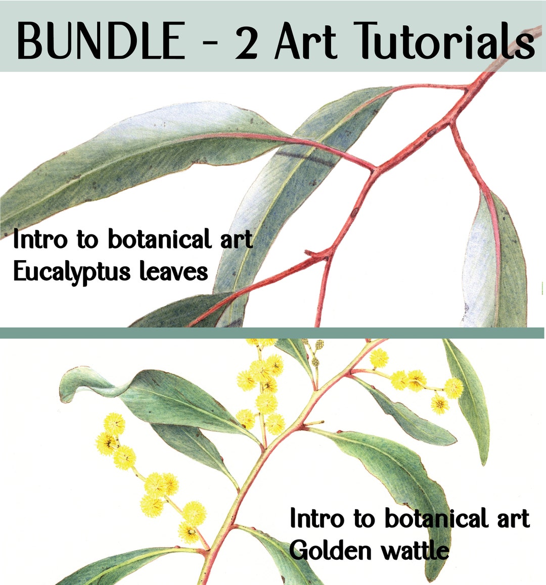 Bundle of TWO Botanical Art Tutorials Online, Eucalyptus Leaf and ...