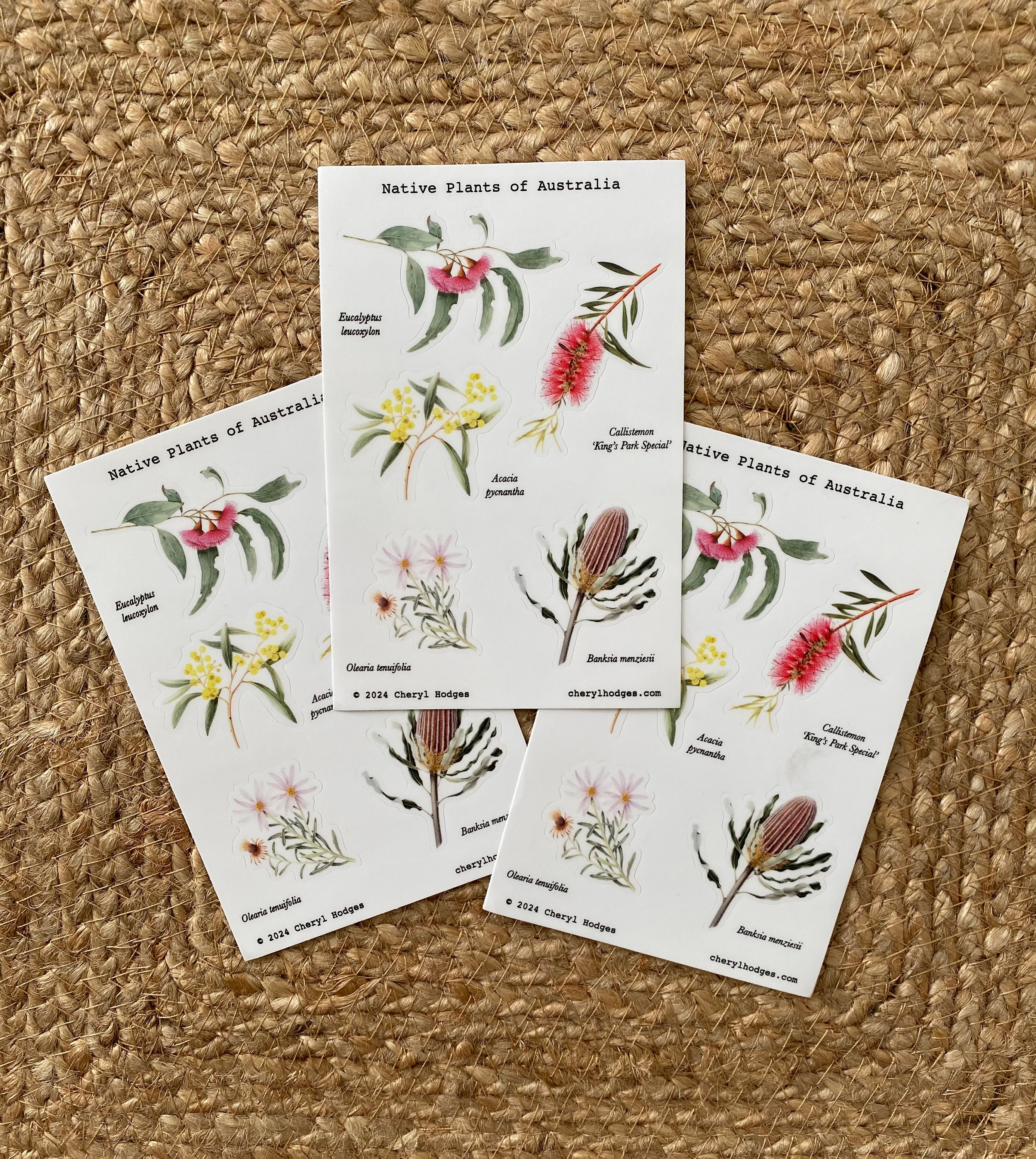 Australian Native Plants Sticker Sheet, Planner Stickers, Vinyl Laptop ...