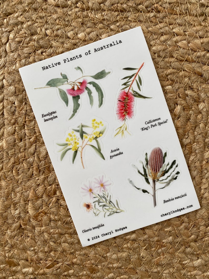 Australian Native Plants Sticker Sheet, Planner Stickers, Vinyl Laptop ...