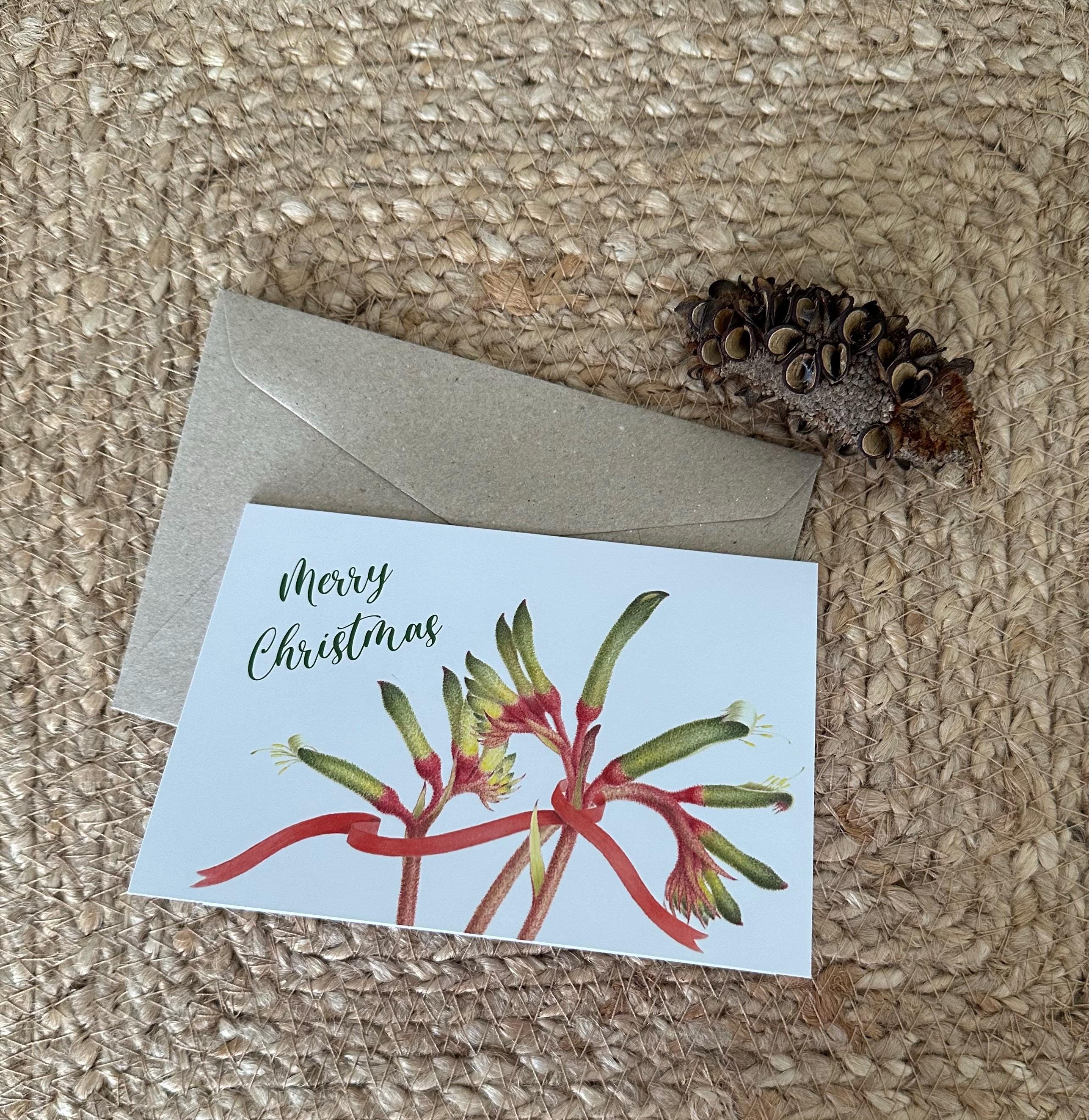 Christmas Card Set Australian Native Plants and Insects, Set of 5 ...