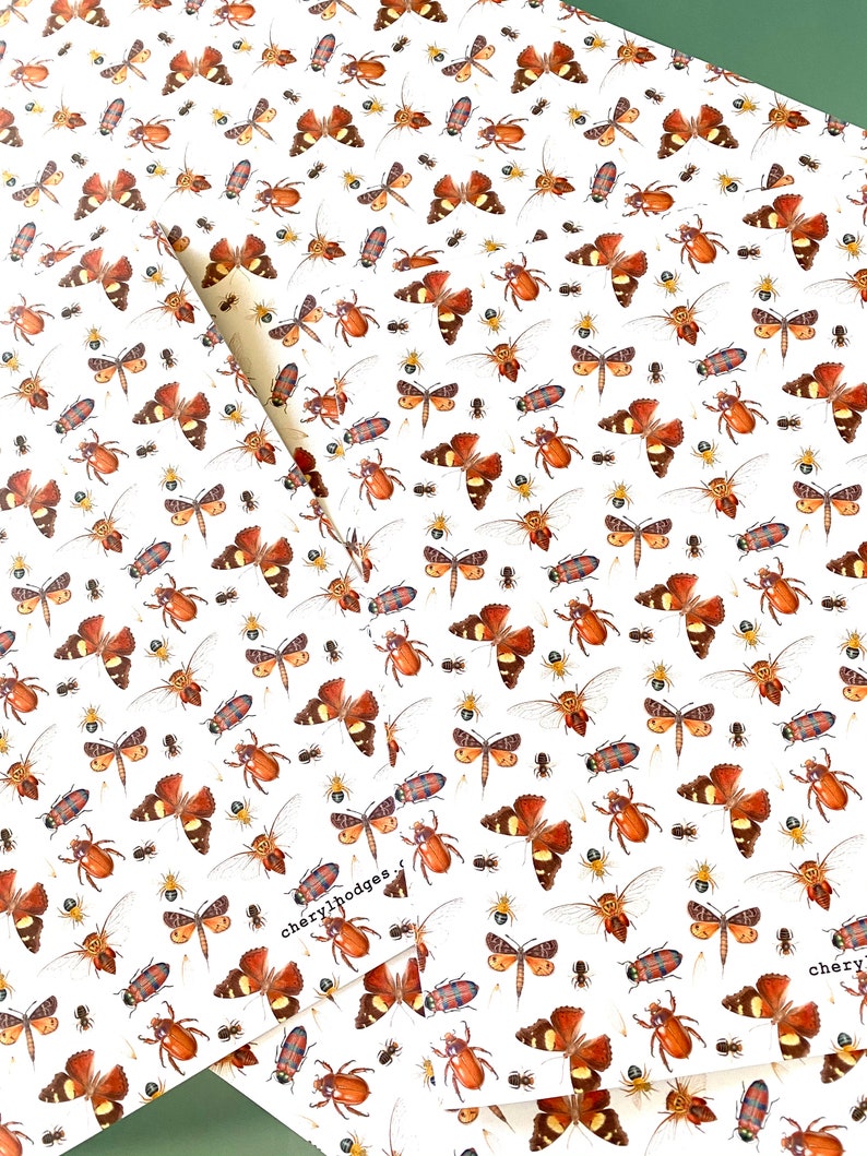 Australian Native Insects Wrapping Paper & Christmas Beetle Card Set ...