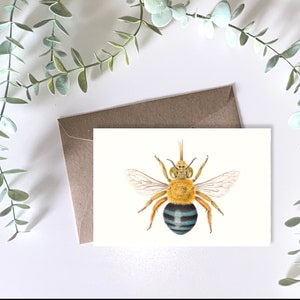 Blue Banded Bee - Australian Greeting Card, Australian Native Insect ...