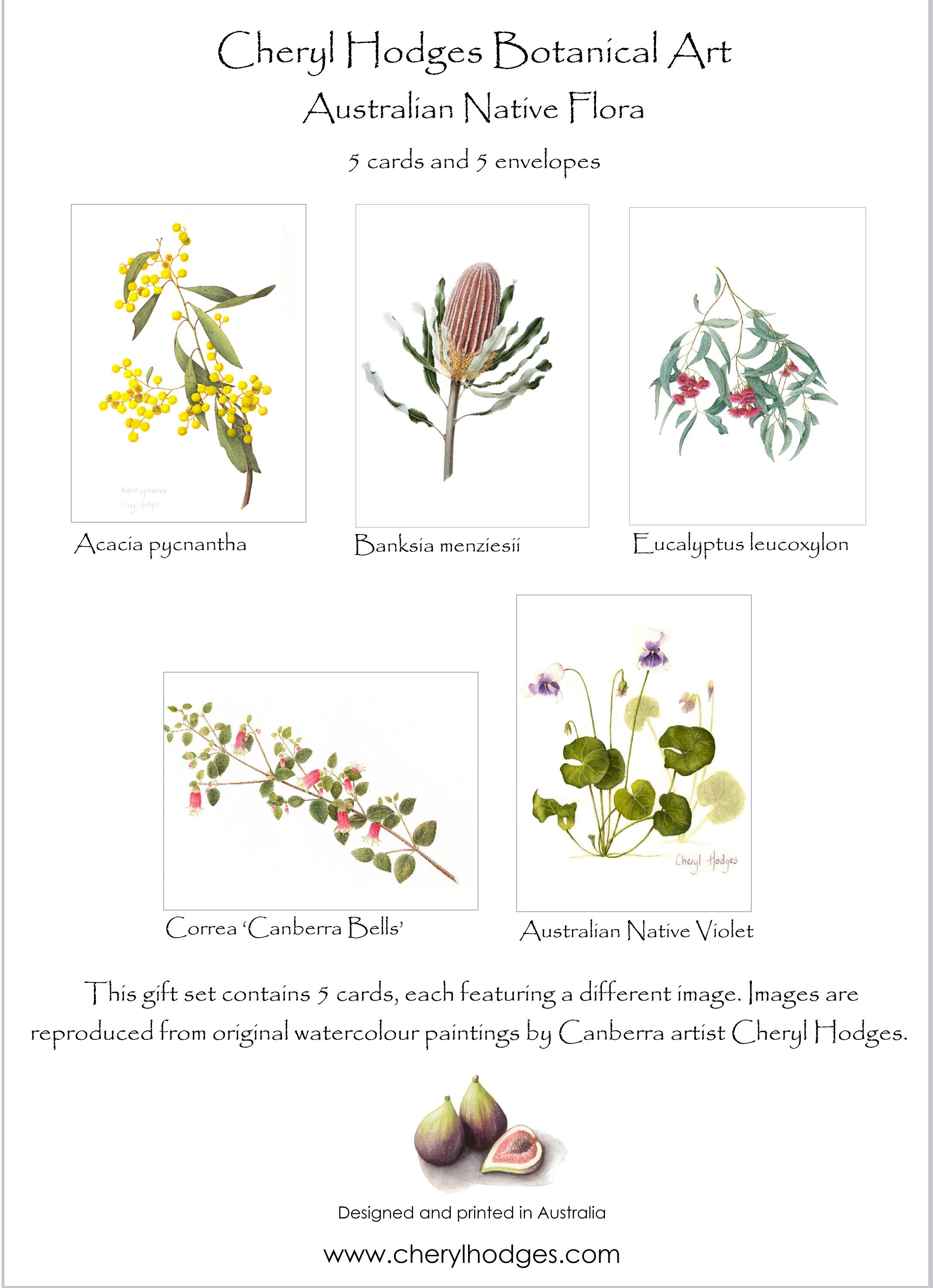 Set of 5 Cards - Australian Natives 1, Australian Native Plant Drawings ...