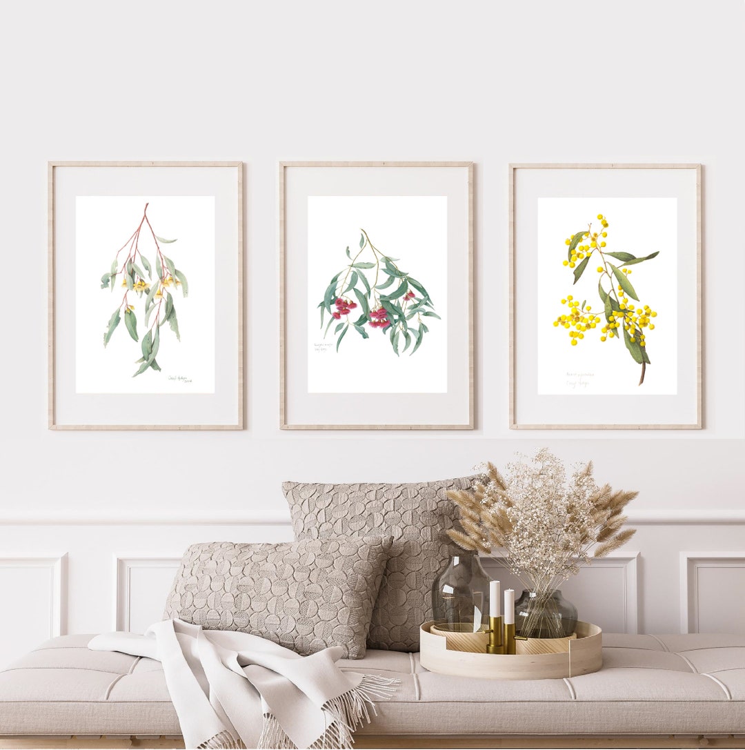 Australian Native Flower Prints, Set of 3 Prints Wall Art, Australian ...