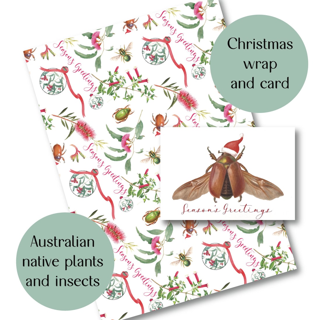 Australian Native Christmas Wrap & Card – Plants and Insects - Etsy