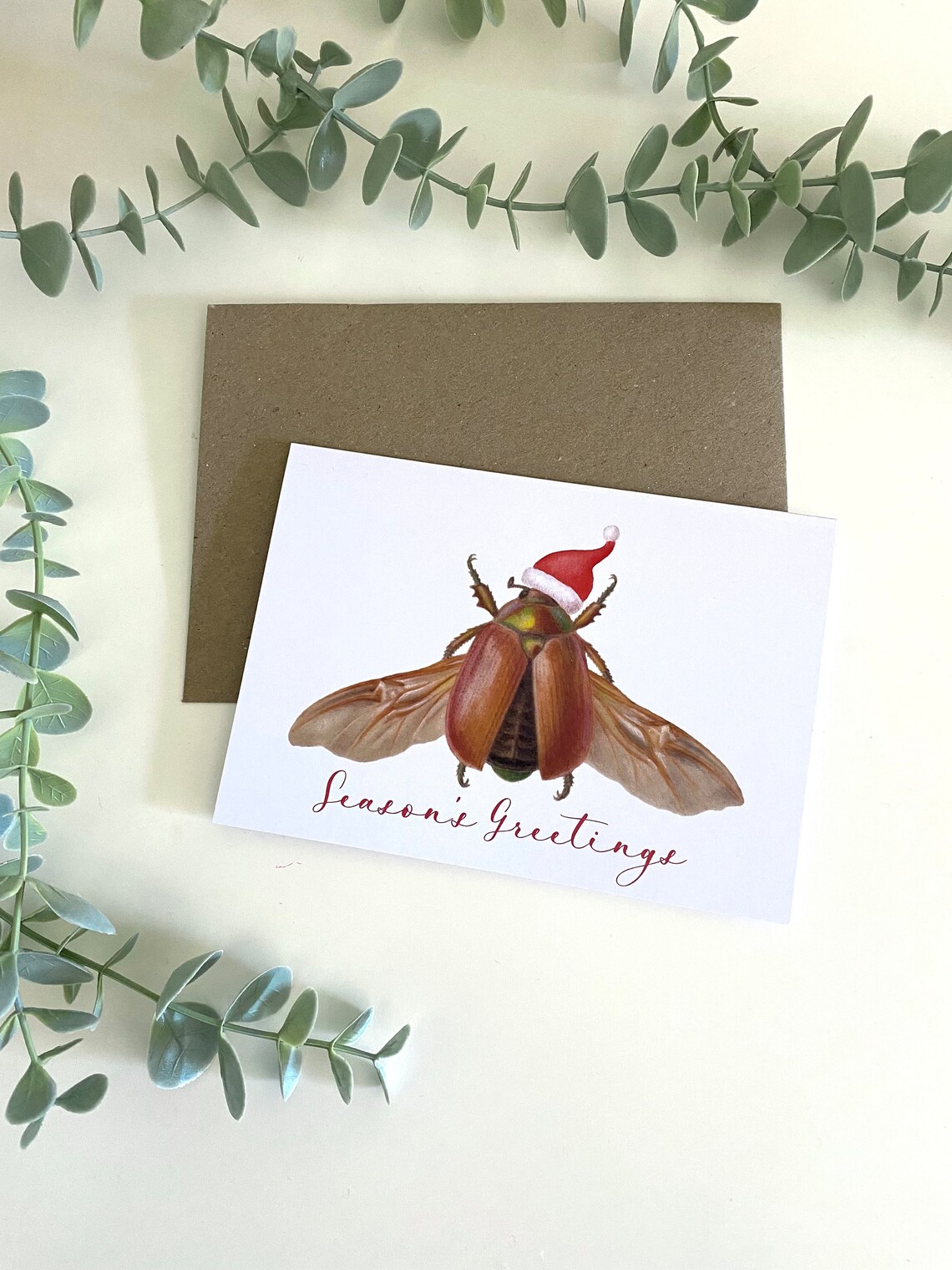 Australian Insect Christmas Cards - Watercolor, Set of 5 - Etsy