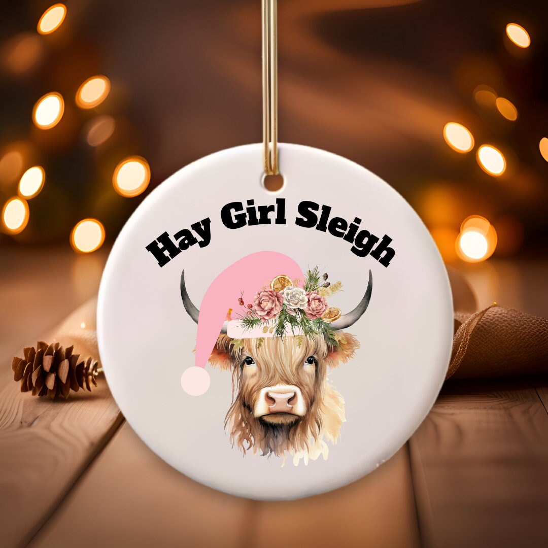 Hay Girl Hay PNG File, Highland Cow Christmas Clipart, Very Demure Cow ...