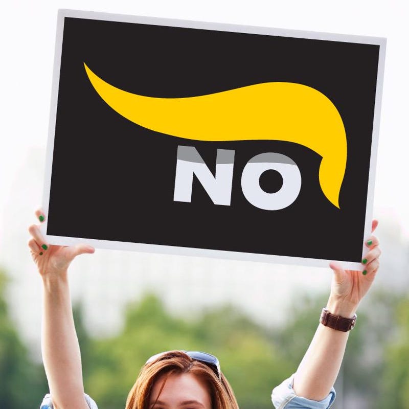 Democracy Protest Sign - Etsy