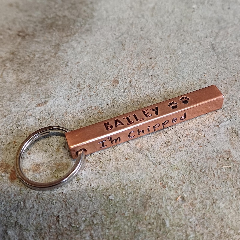 Unique Dog Tag - Etsy