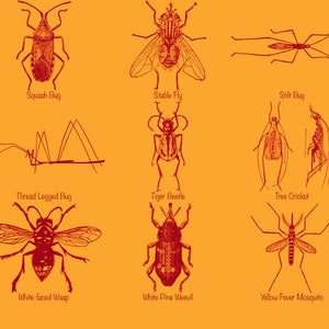 Insects Poster, Screenprint Giclee Classroom Poster, Schooling ...