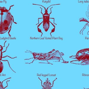 Insects Poster, Screenprint Giclee Classroom Poster, Schooling ...