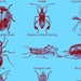 Insects Poster, Screenprint Giclee Classroom Poster, Schooling ...