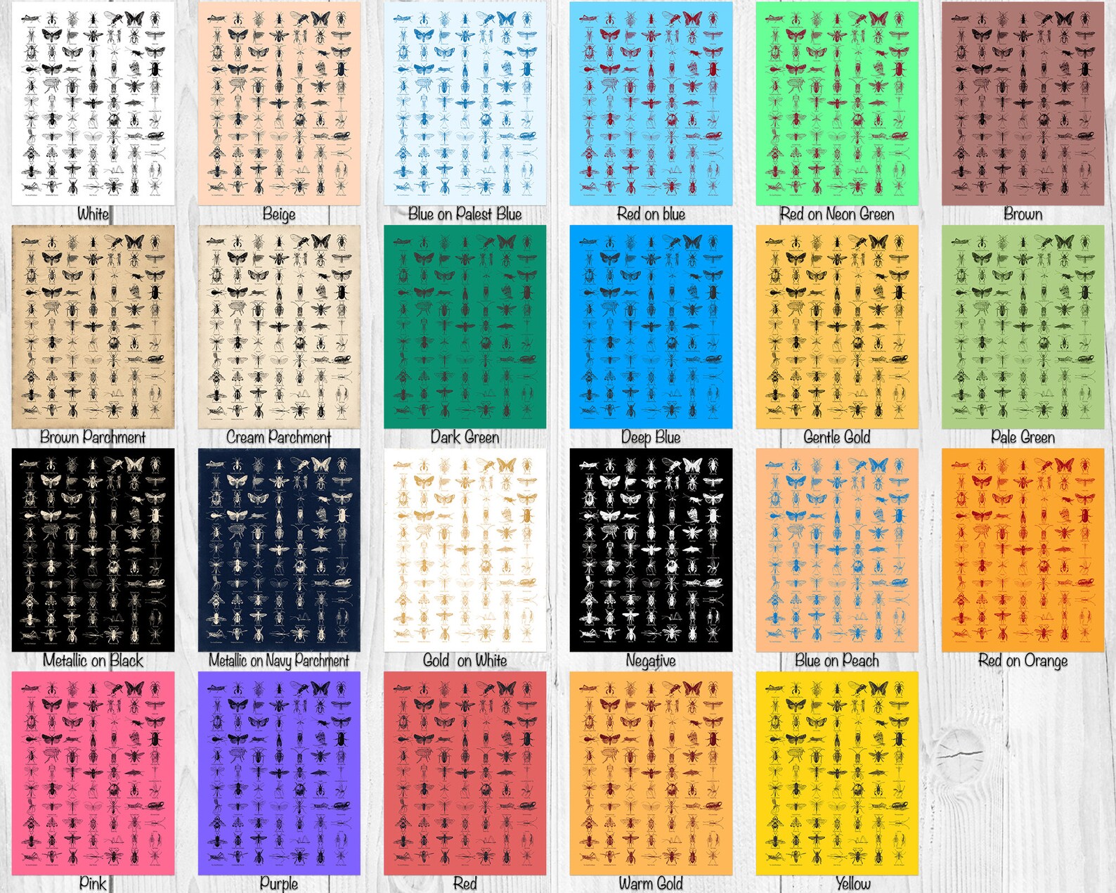 Insects Poster, Screenprint Giclee Classroom Poster, Schooling ...