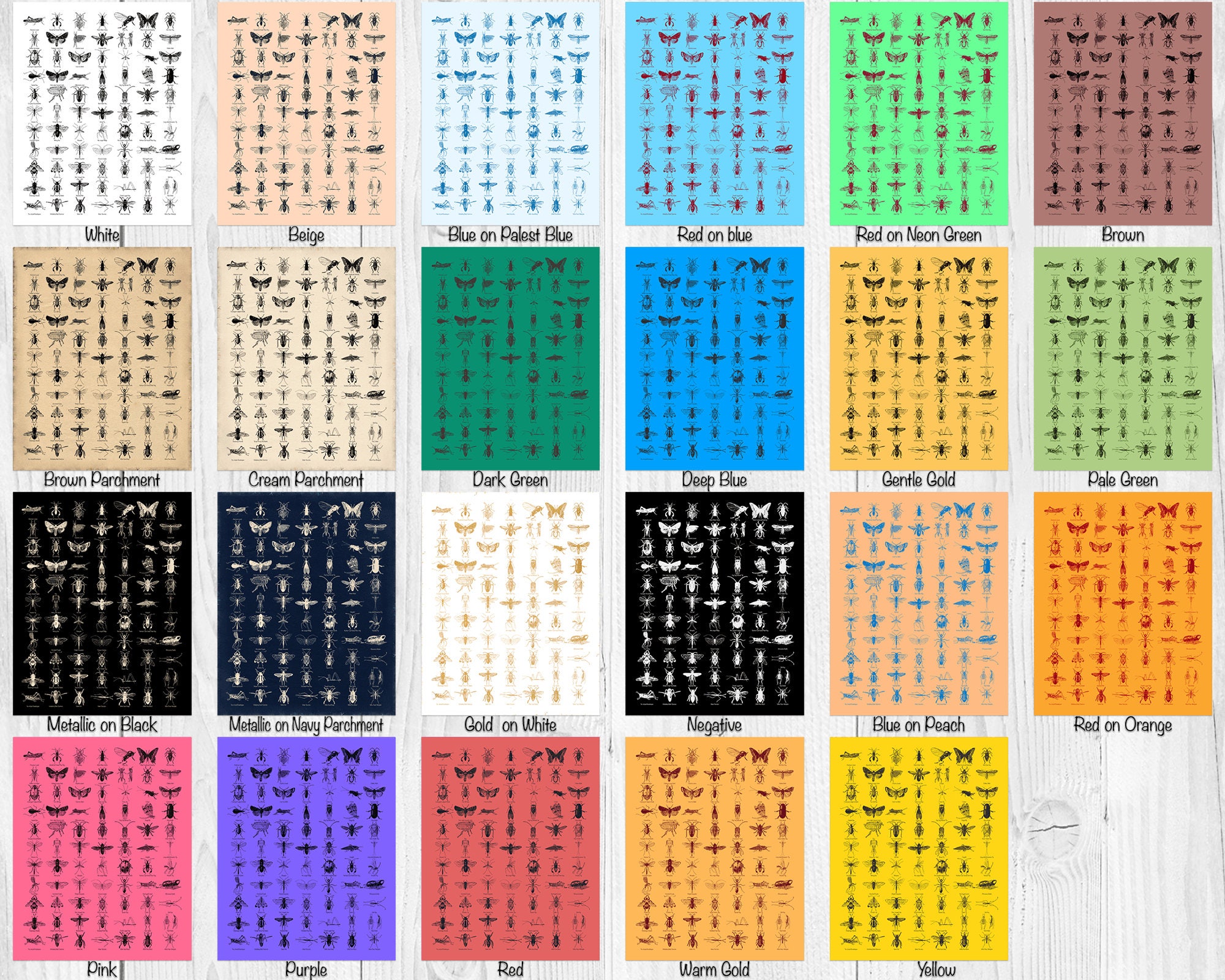 Insects Poster, Screenprint Giclee Classroom Poster, Schooling ...