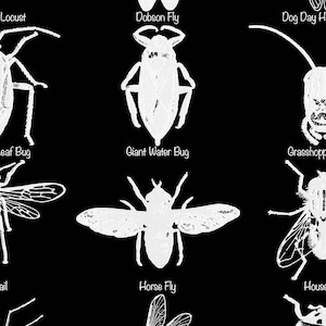 Insects Poster, Screenprint Giclee Classroom Poster, Schooling ...