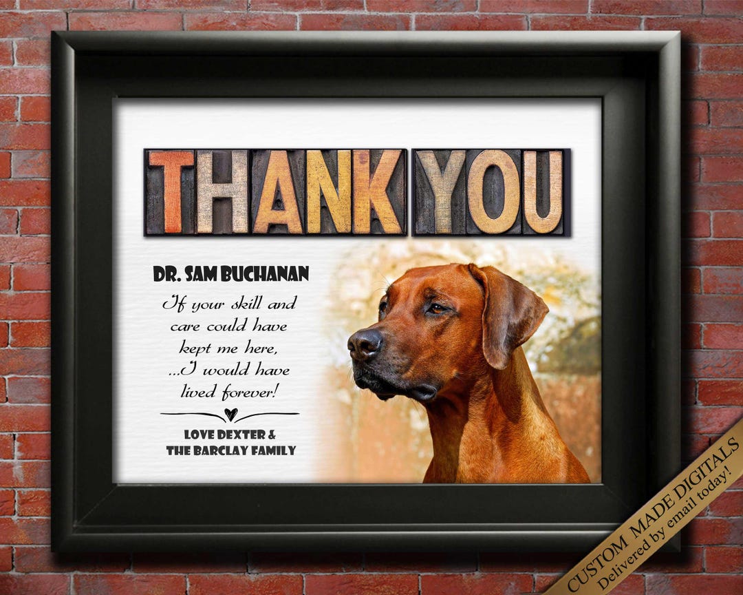 Veterinarian Gift Thank You for Vet Personalized Veterinarians Gifts ...
