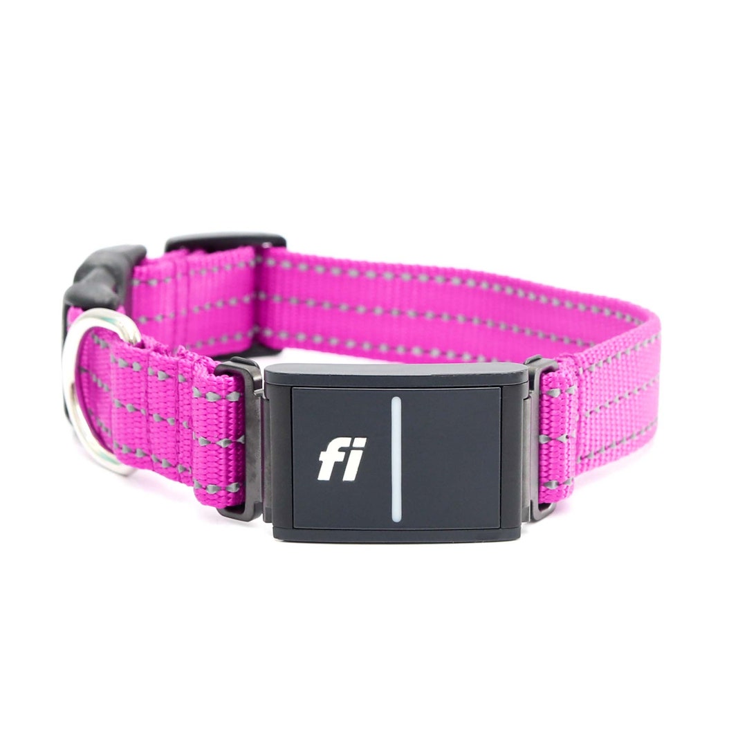 Pink Reflective Fi Compatible Dog Collar // Safety Fi Collar ...