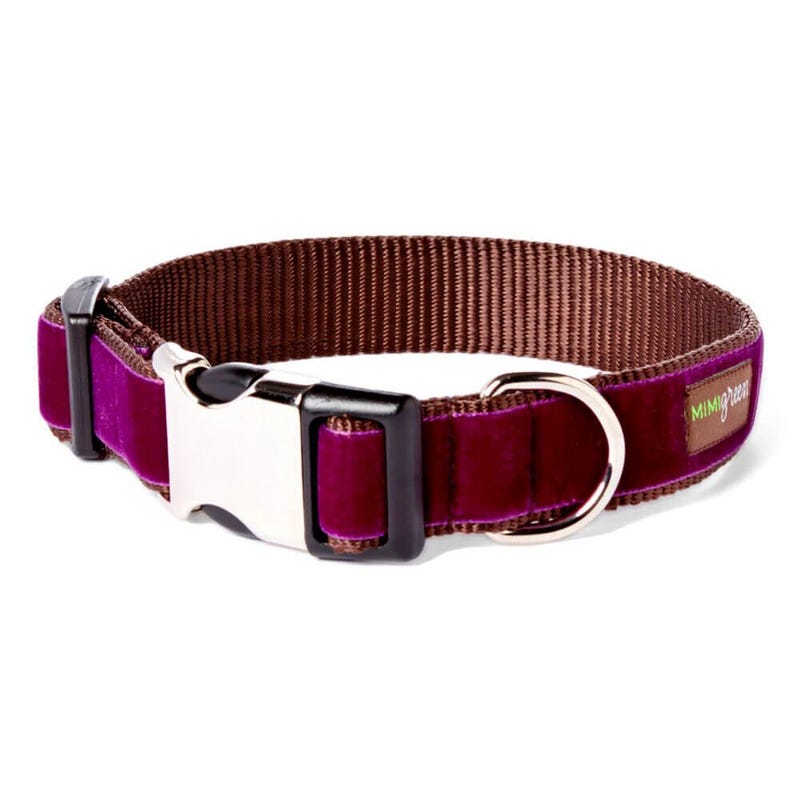 Purple Dog Collar - Etsy