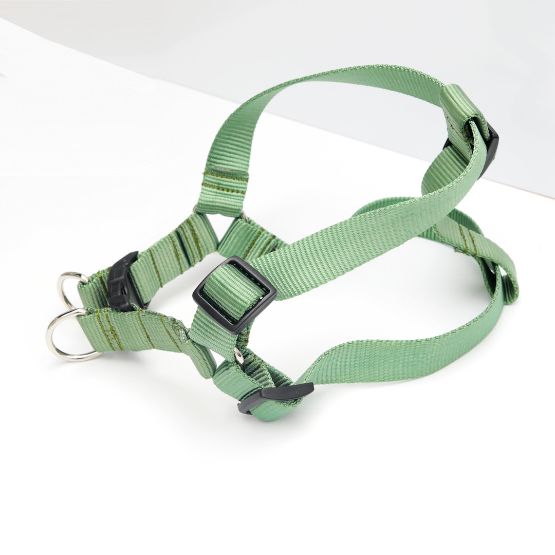 SAGE GREEN Nylon Dog Harness // Step in Style Harness // 5 Buckle ...