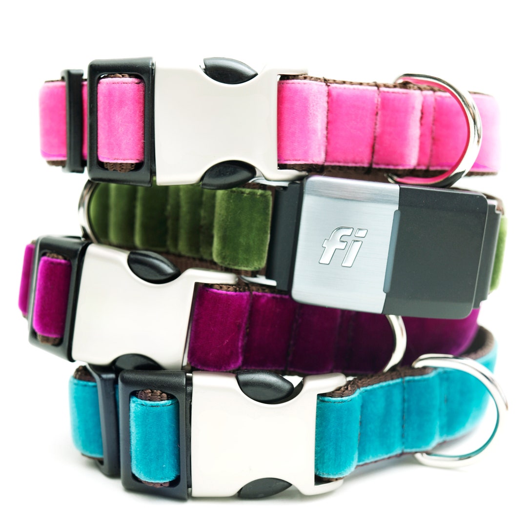 Velvet Fi Compatible Dog Collar // Handmade Fi Collar // Colorful Fi ...