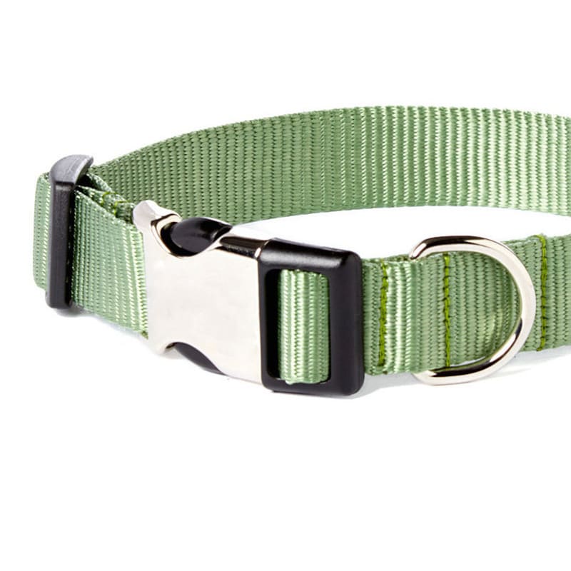 Green Dog Collar - Etsy