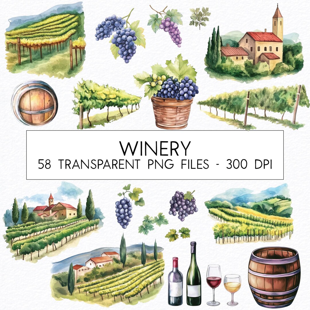 Winery Clipart / Vineyard Watercolor Bundle / High Quality PNG ...