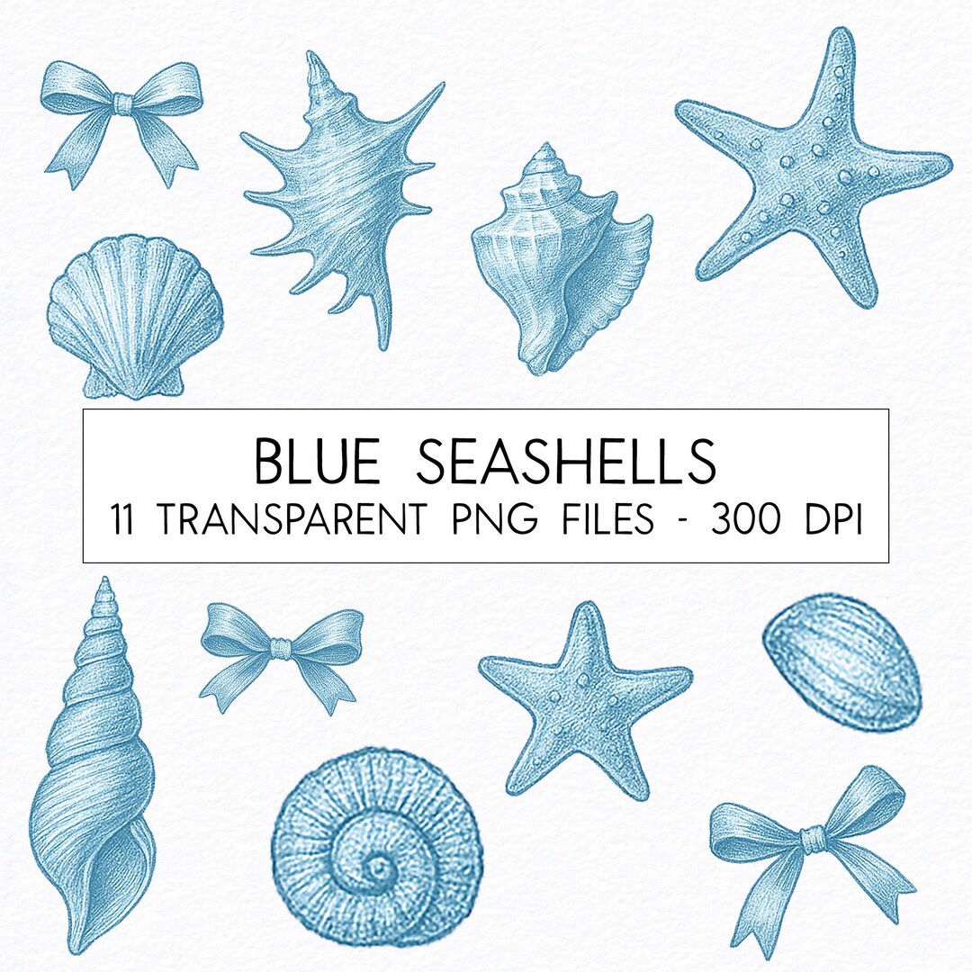 Blue Seashell Clipart Bundle | Nautical Starfish Bows Digital Download ...
