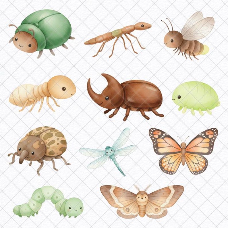 Bugs Watercolor Clipart Bundle (PNG) - Etsy