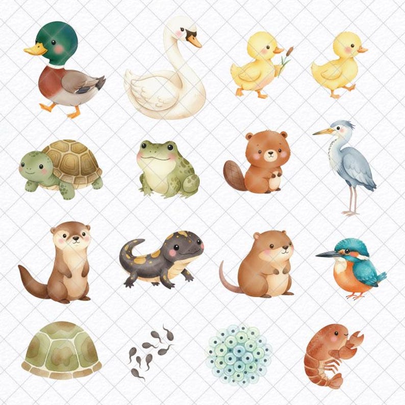 Pond Life Watercolor Clipart Bundle (PNG) / Commercial Use - Etsy