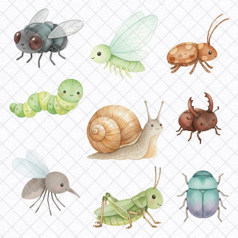 Bugs Watercolor Clipart Bundle (PNG) - Etsy