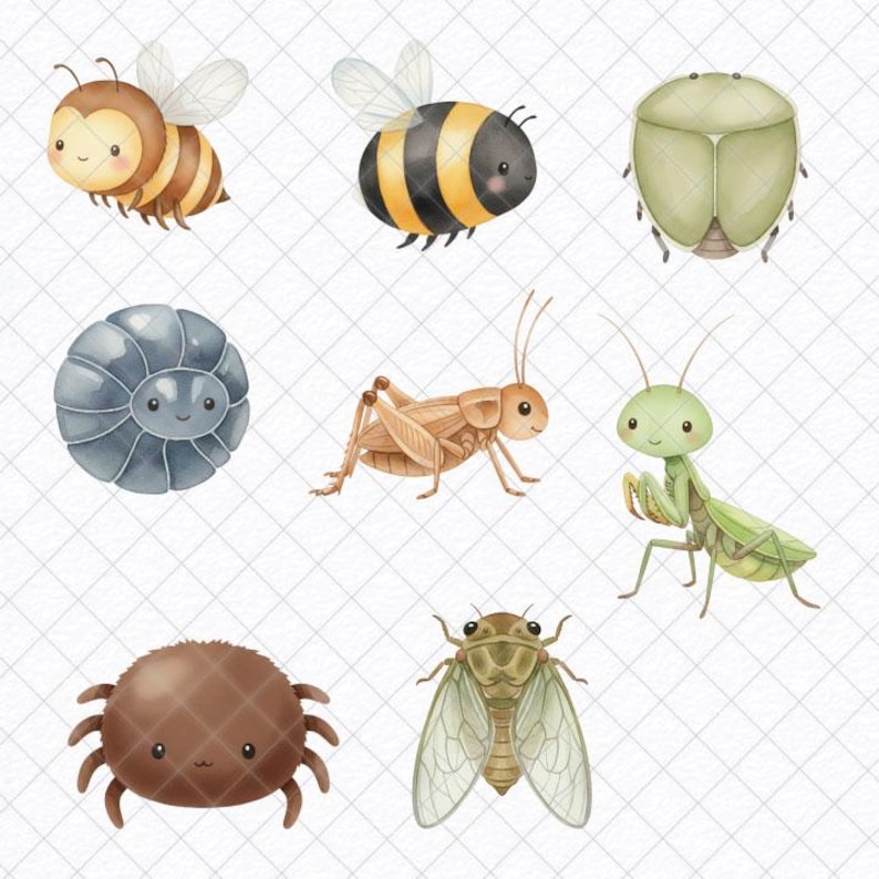 Bugs Watercolor Clipart Bundle (PNG) - Etsy